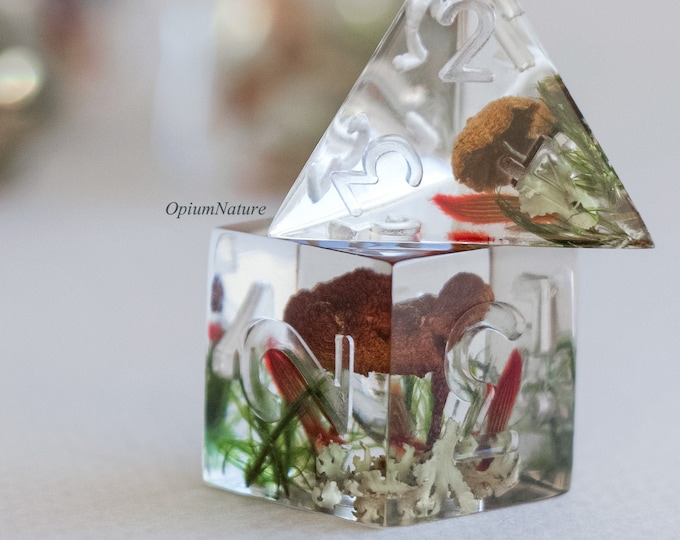 Forest Tale - Forest Dice Set With Real Mushrooms Critical Role Resin ...