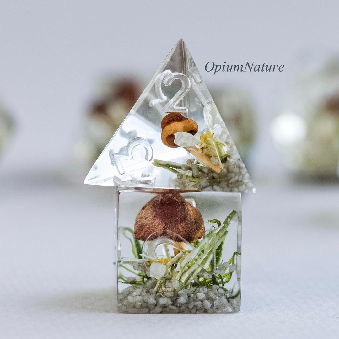 Forest Mushroom Dice Set: Handmade Resin Polyhedral Dice for D&D - Etsy