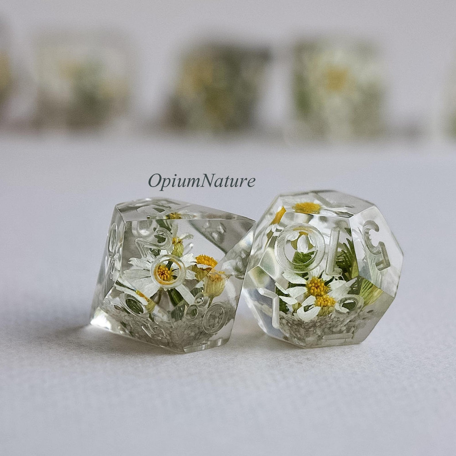 Daisy Dice Set Critical Role Resin Polyhedral Dice Set for RPG - Etsy