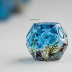 Seashell Resin Dice Set: Ocean World Polyhedral Dice for D&D - Etsy