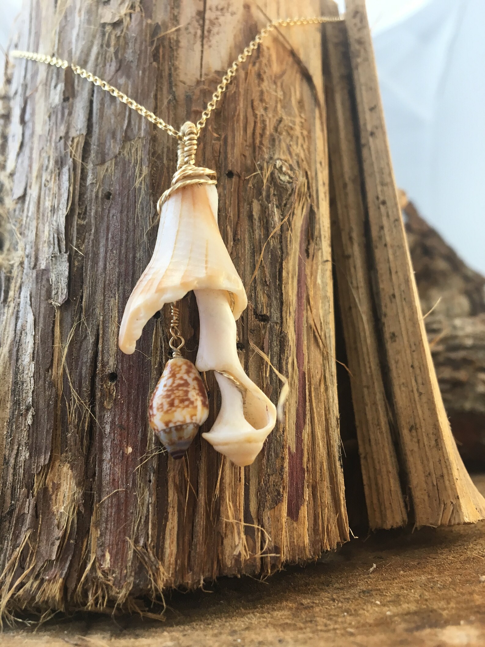 Unique Shell Jewelry, Seashell Necklace, Upcycled Yellow Gold Filled ...