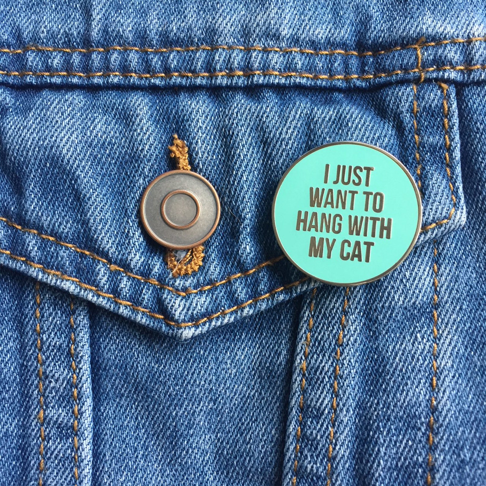 Cat Enamel Pin / Cat Pin / Cat Lover Gift / Hang With My Cat / - Etsy