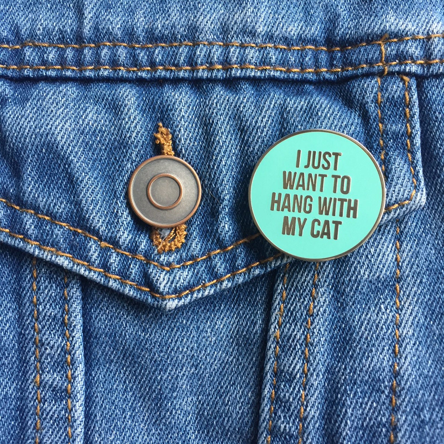 Cat Enamel Pin / Cat Pin / Cat Lover Gift / Hang With My Cat / | Etsy