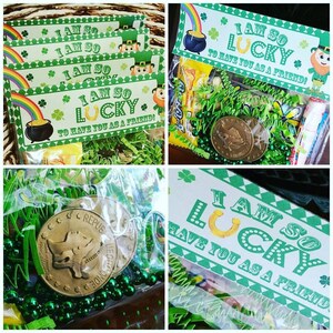 So Lucky to Have You as a Friend St. Patrick's Day Favor Toppers, St ...