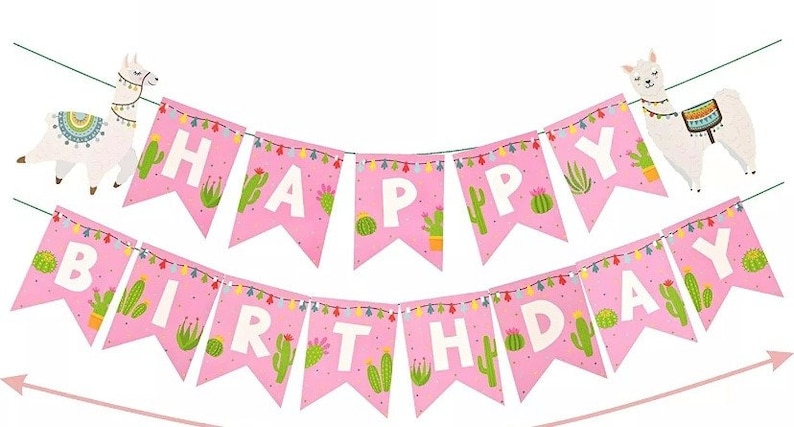 Llama Birthday Party Decoration DIY Home Birthday Complete 27 Piece Kit ...