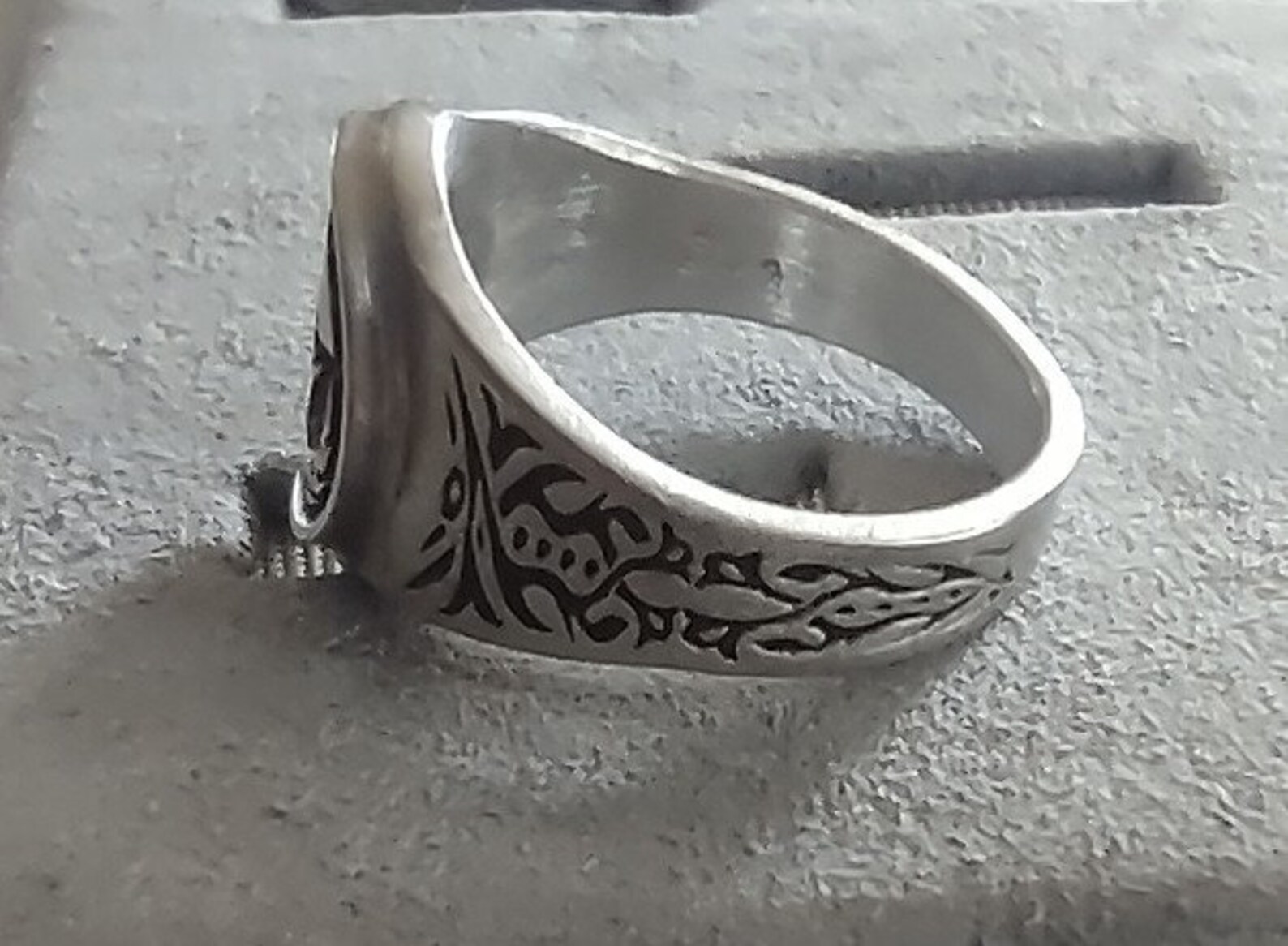 Shark Ring - Elasmobranch Fish - Selachimorpha Selachii Batoidea ...