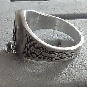 Shark Ring - Elasmobranch Fish - Selachimorpha Selachii Batoidea ...