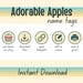 Cute Apples Classroom Name Tags, Editable Canva Template, Printable ...