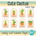 Cactus and Succulents Classroom Name Tags, Editable Canva Template ...