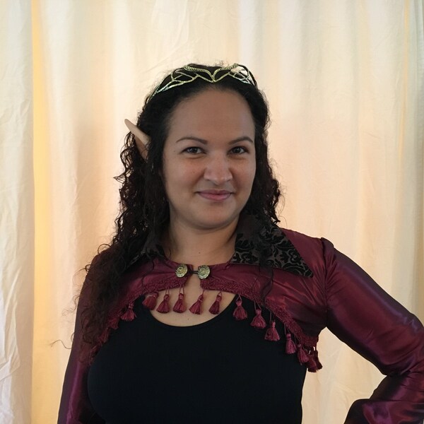 Plus Size Elf Costume - Etsy