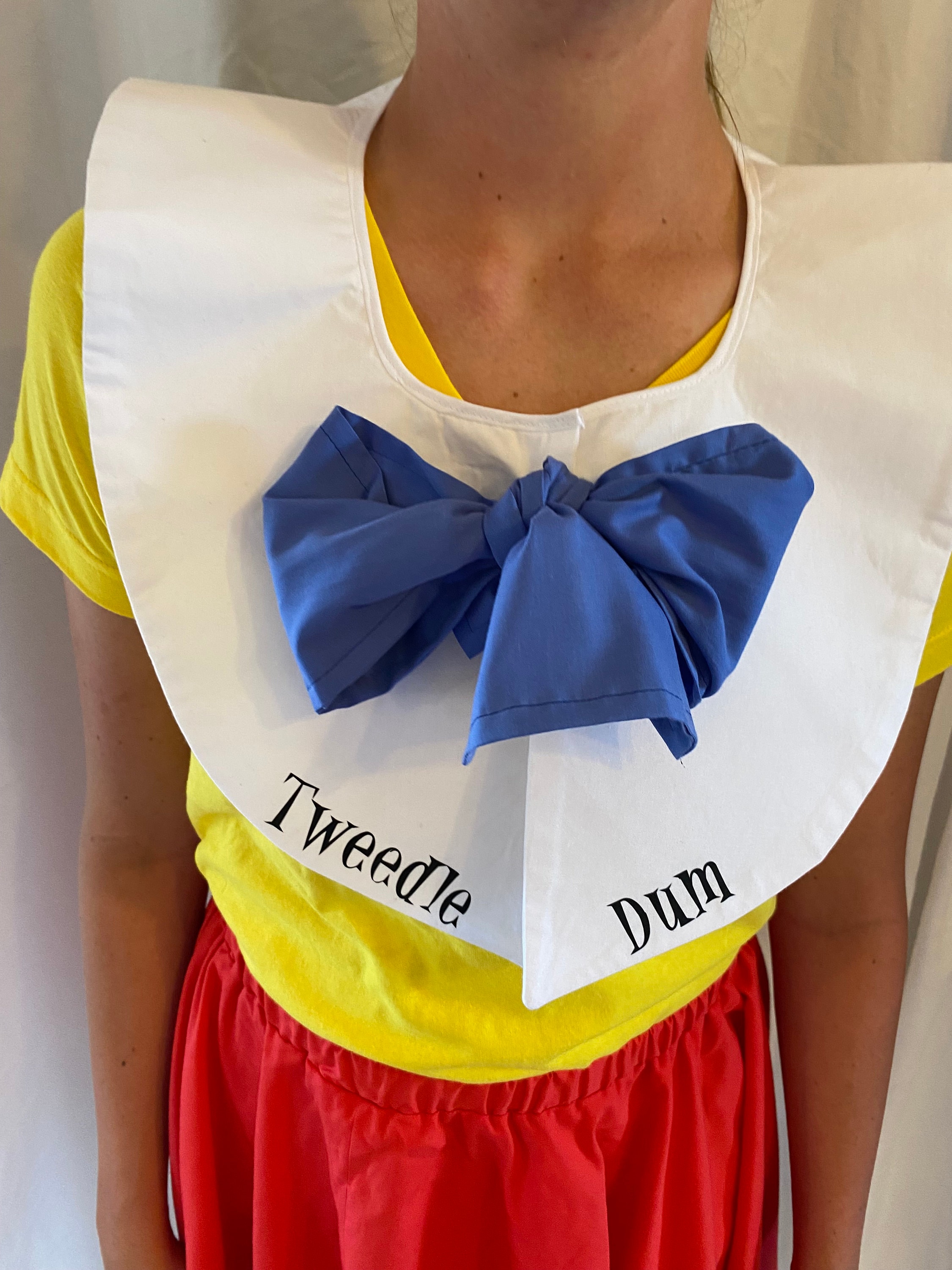 Tweedle Dee and Tweedle Dum Costumes-pair of Matching Outfits-skirt, T ...