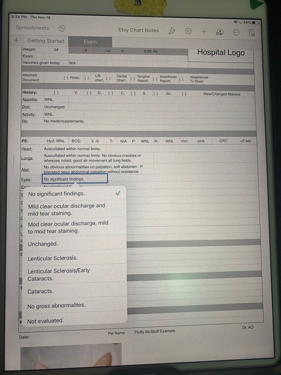 Chart Notes Template