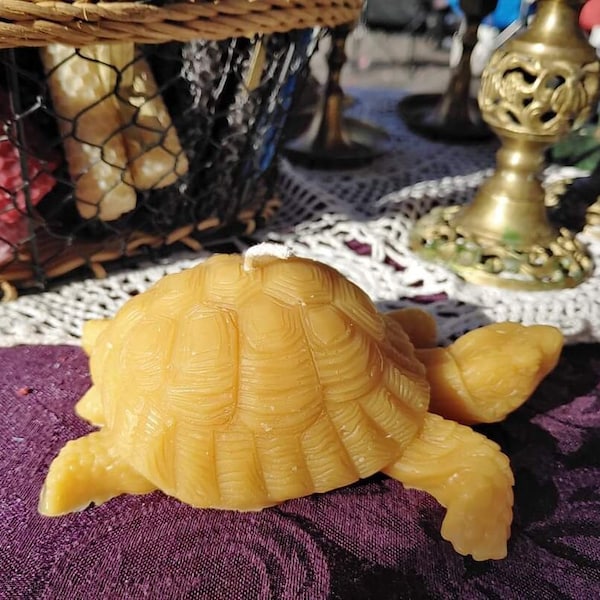 Turtle Candle - Etsy