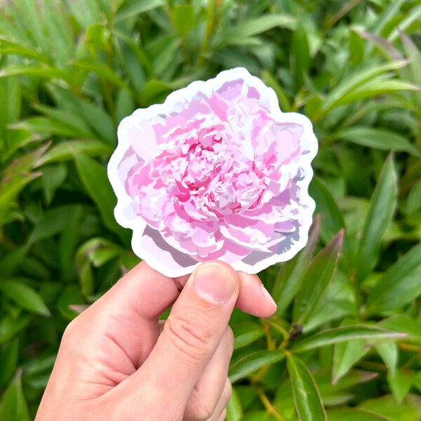 Peony Decal - Etsy
