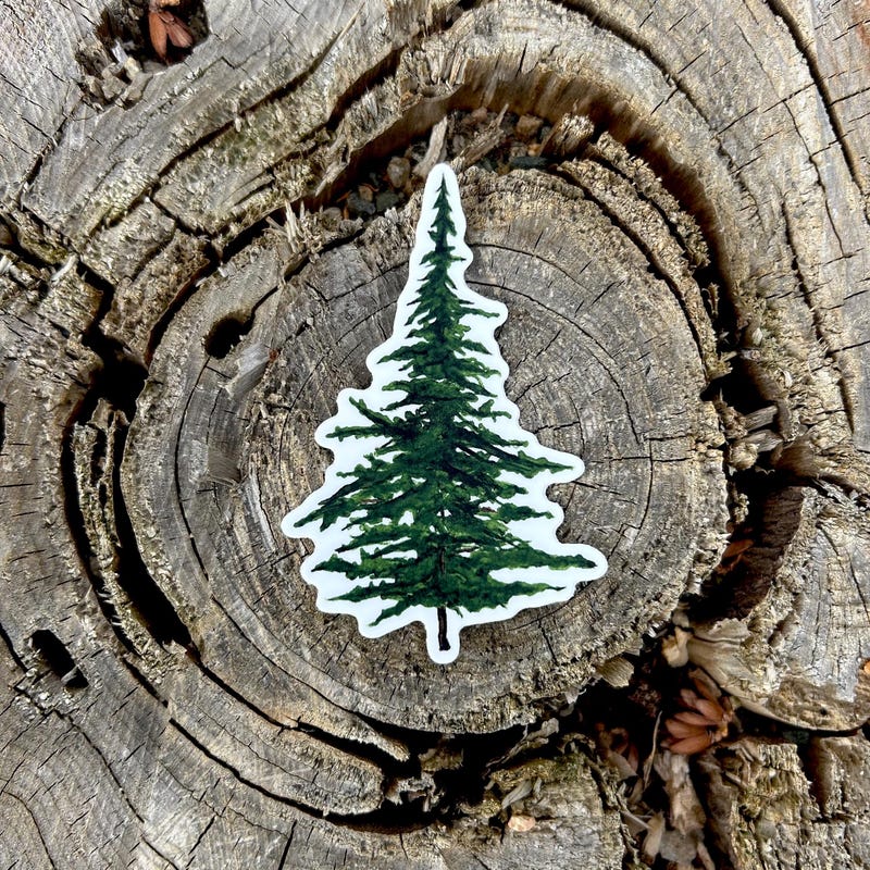 Pine Tree Decals - Etsy