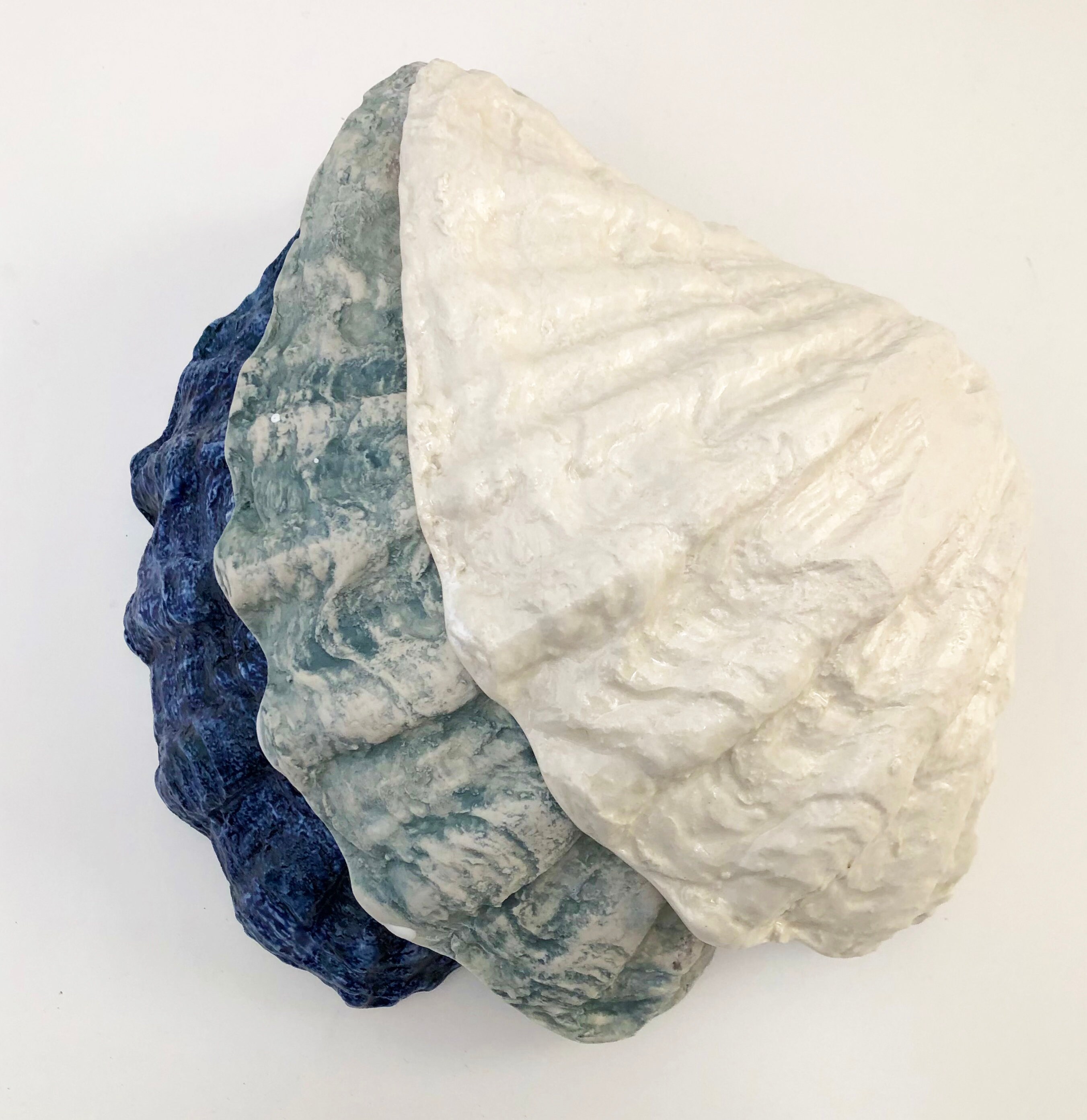 Giant Sea Clam, Sea Shell Bowl, Clam Bowl, Sea Clam Bowl, Shell Bowl ...