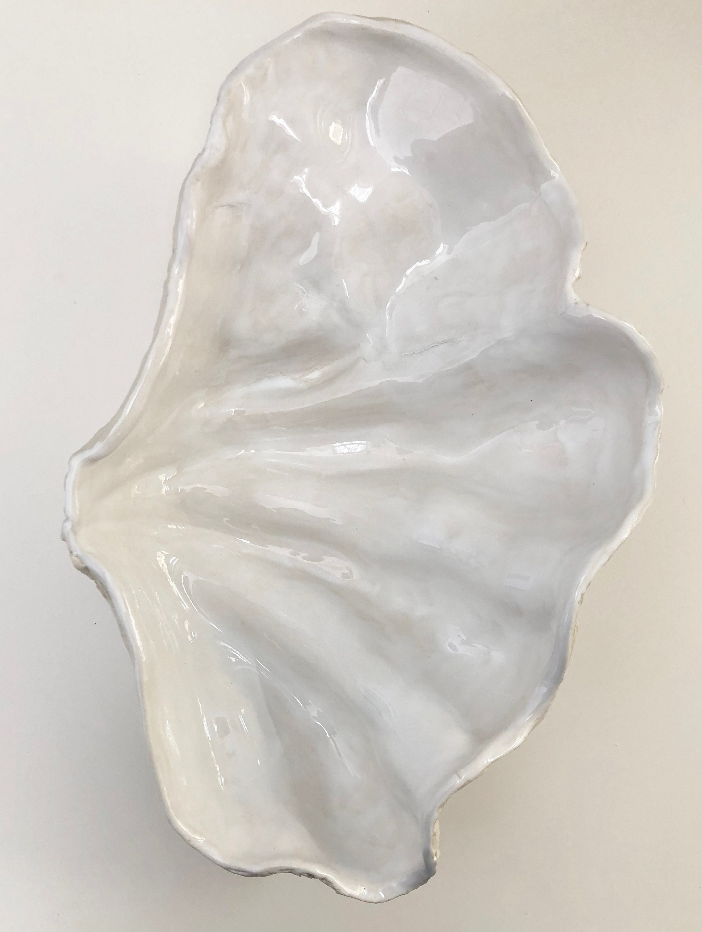 Giant Sea Clam, Sea Shell Bowl, Clam Bowl, Sea Clam Bowl, Shell Bowl ...