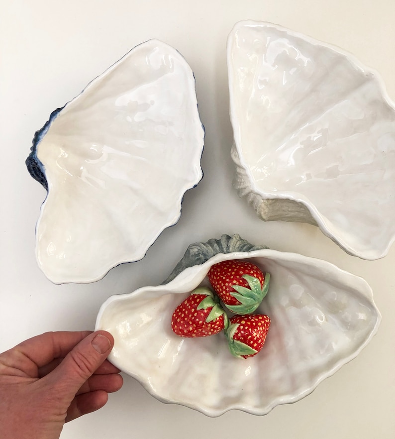 Giant Sea Clam, Sea Shell Bowl, Clam Bowl, Sea Clam Bowl, Shell Bowl ...