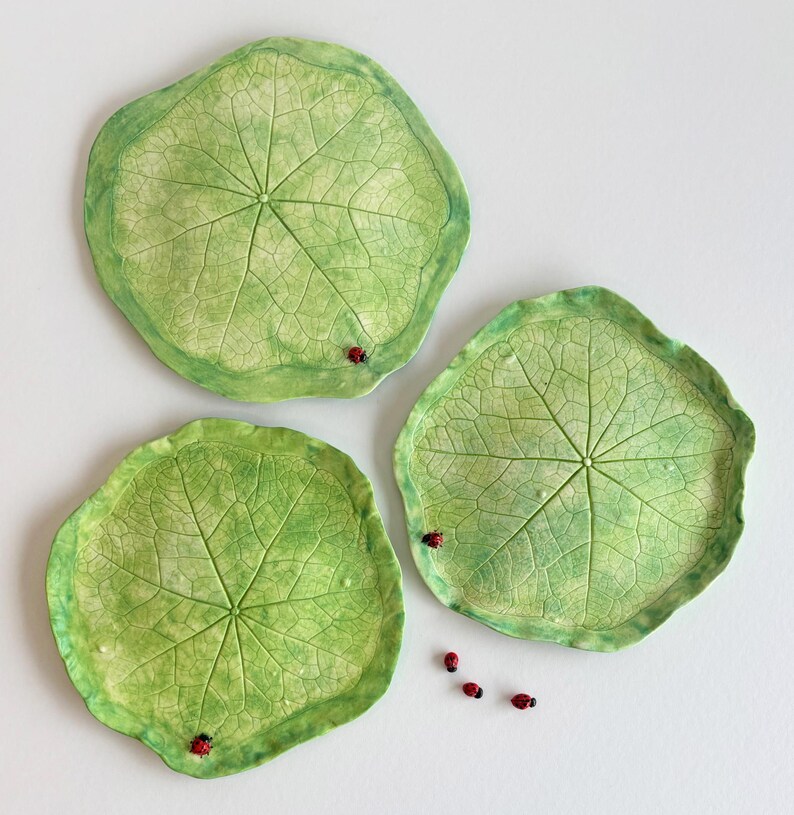 Nasturtium Leaf Plate, Leaf Plate, Side Plate, Ladybird Plate, Ladybug ...
