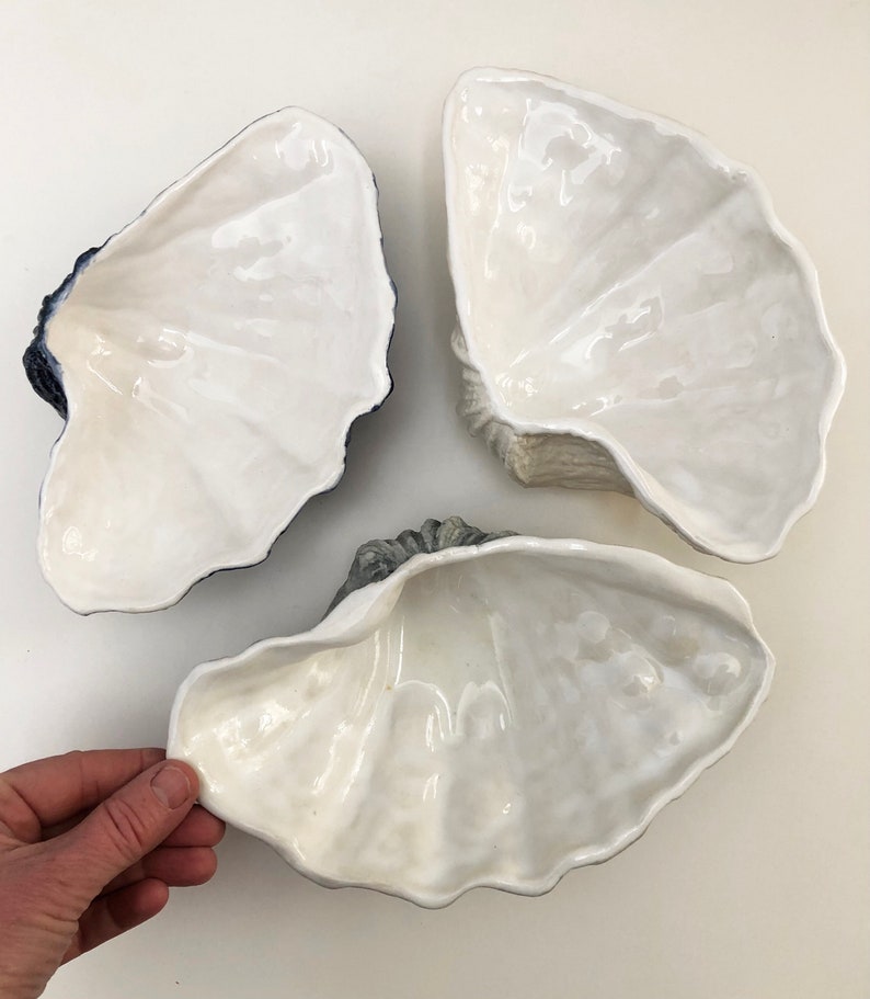 Giant Sea Clam, Sea Shell Bowl, Clam Bowl, Sea Clam Bowl, Shell Bowl ...