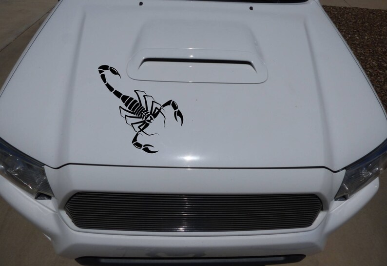 Scorpion Decal | Scorpion Sticker by Decaltheory on Etsy - Etsy