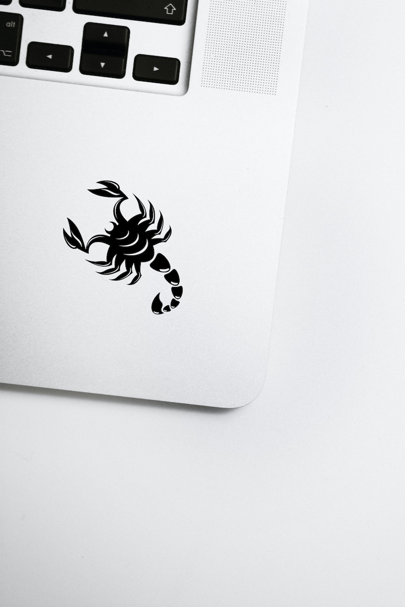 Scorpion Decal Scorpion Sticker by Decaltheory on Etsy - Etsy