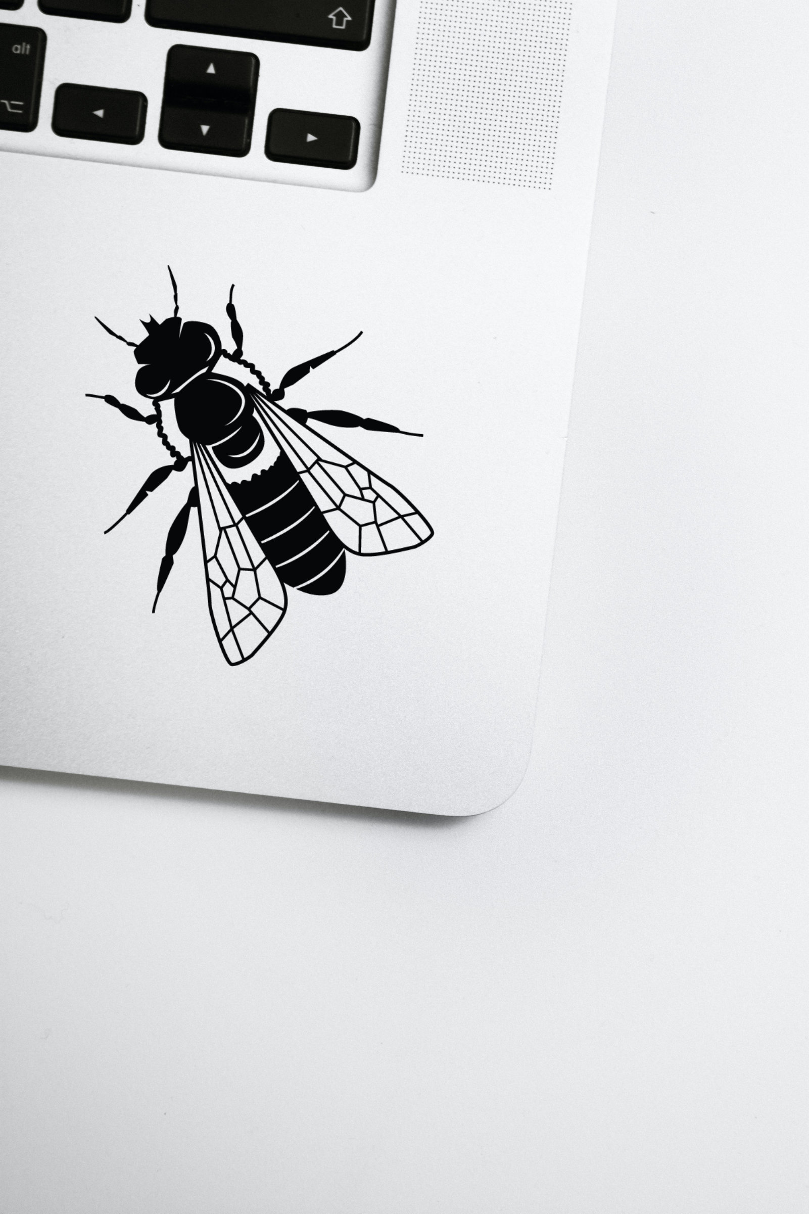 Fly Decal Sticker Bug Decal Sticker by Decaltheory on Etsy - Etsy