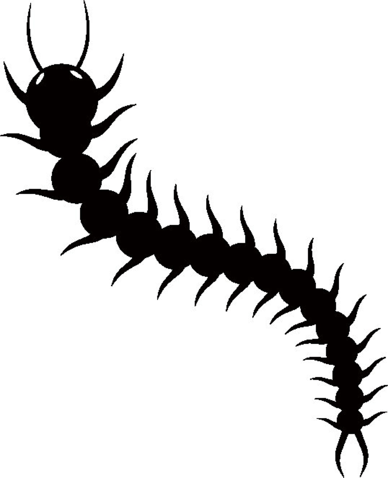 Centipede Decal | Centipede Sticker by Decaltheory on Etsy - Etsy