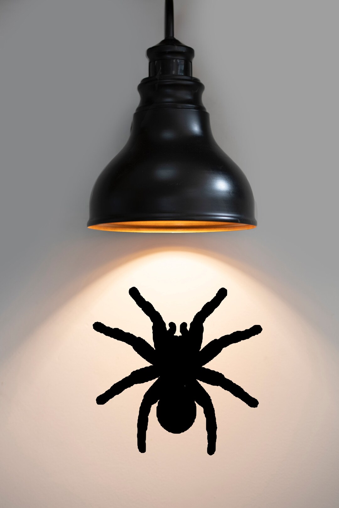 Giant Tarantula Decal Huge Spider Decal - Etsy