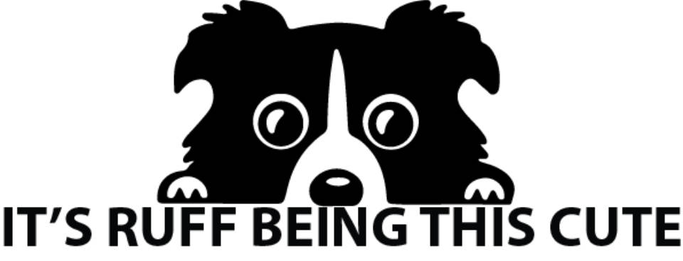 It's Ruff Being This Cute Decal Sticker Dog Decal - Etsy UK