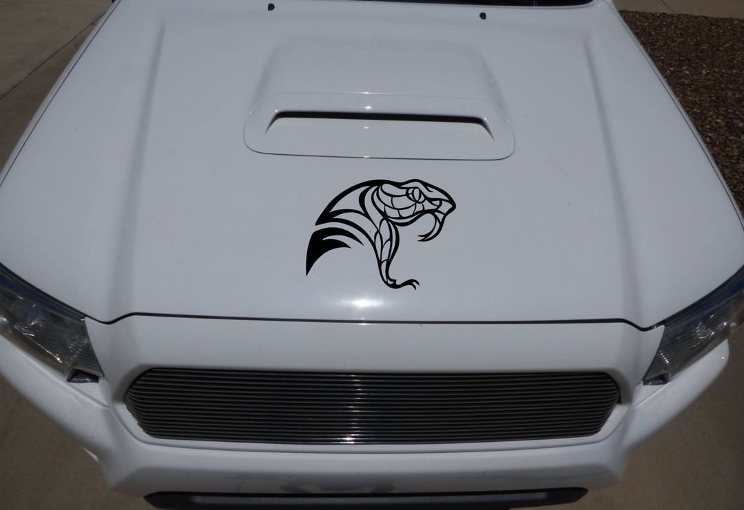 Snake Decal Snake Sticker by Decaltheory on Etsy - Etsy