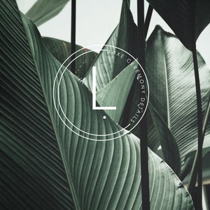 Minimal Circle Logo Design, Minimal Modern Custom Logo Design ...