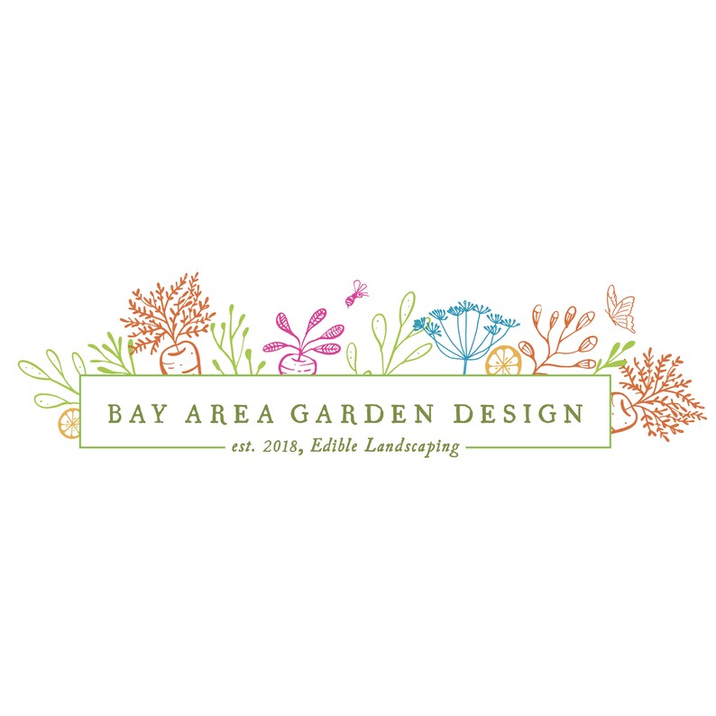 Premade Vintage Photography Rustic Logo Organic Design - Etsy