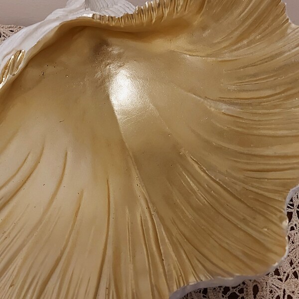 Big Sea Shell - Etsy