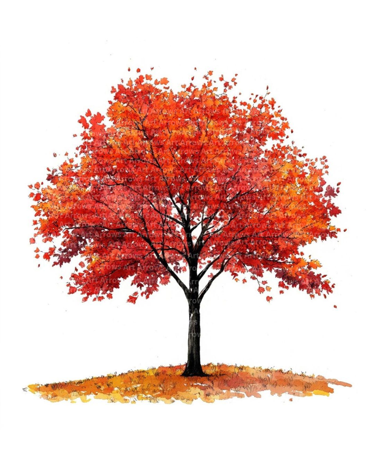 5 Autumn Trees, Fall Leaves, Printable Watercolor Clipart, Digital ...