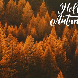 Bundle Autumn Fall Desktop Wallpaper Bundle of 3 Wallpapers - Etsy