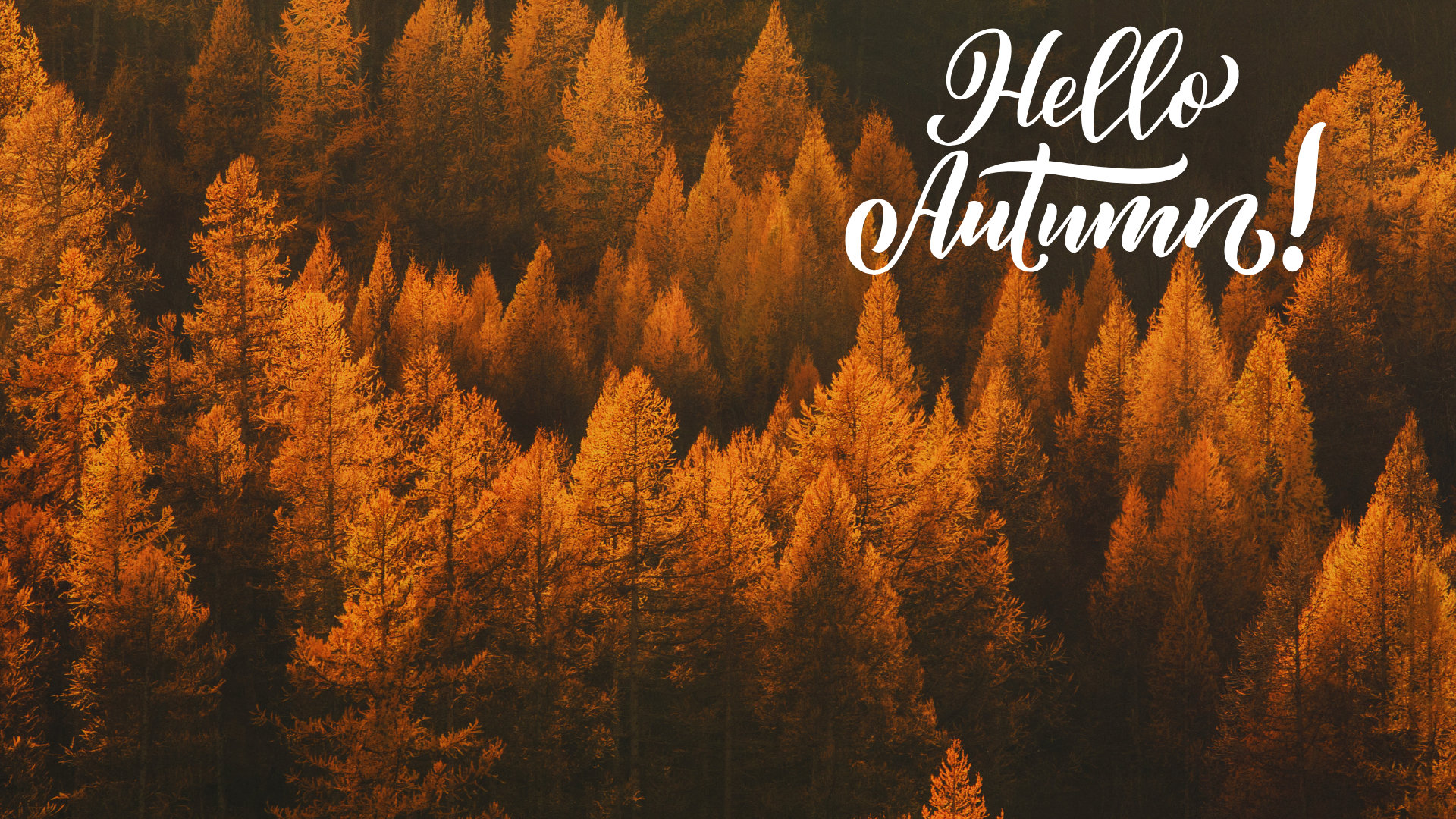 Autumn Fall Desktop Wallpaper Bundle 3 Wallpapers - Etsy