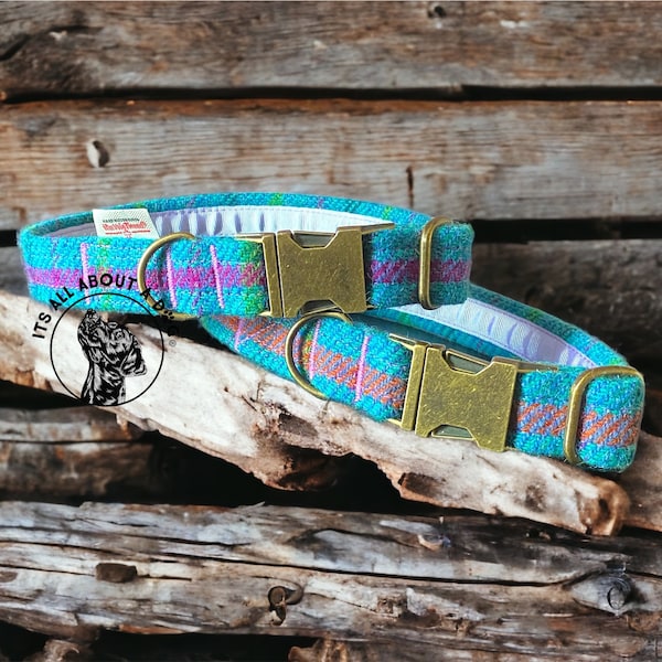 Turquoise Dog Collar - Etsy