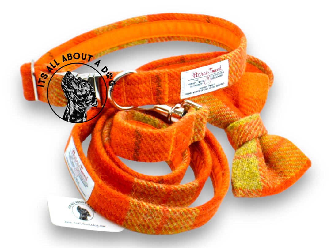 Harris Tweed Orange Tartan Dog Collars Leads Bow Ties Bandanas for Dogs ...