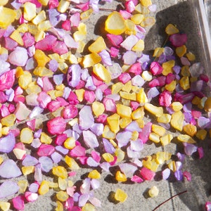 Irregular Sea Shell Chips Nail Decals/ Slice Particles Seashell ...