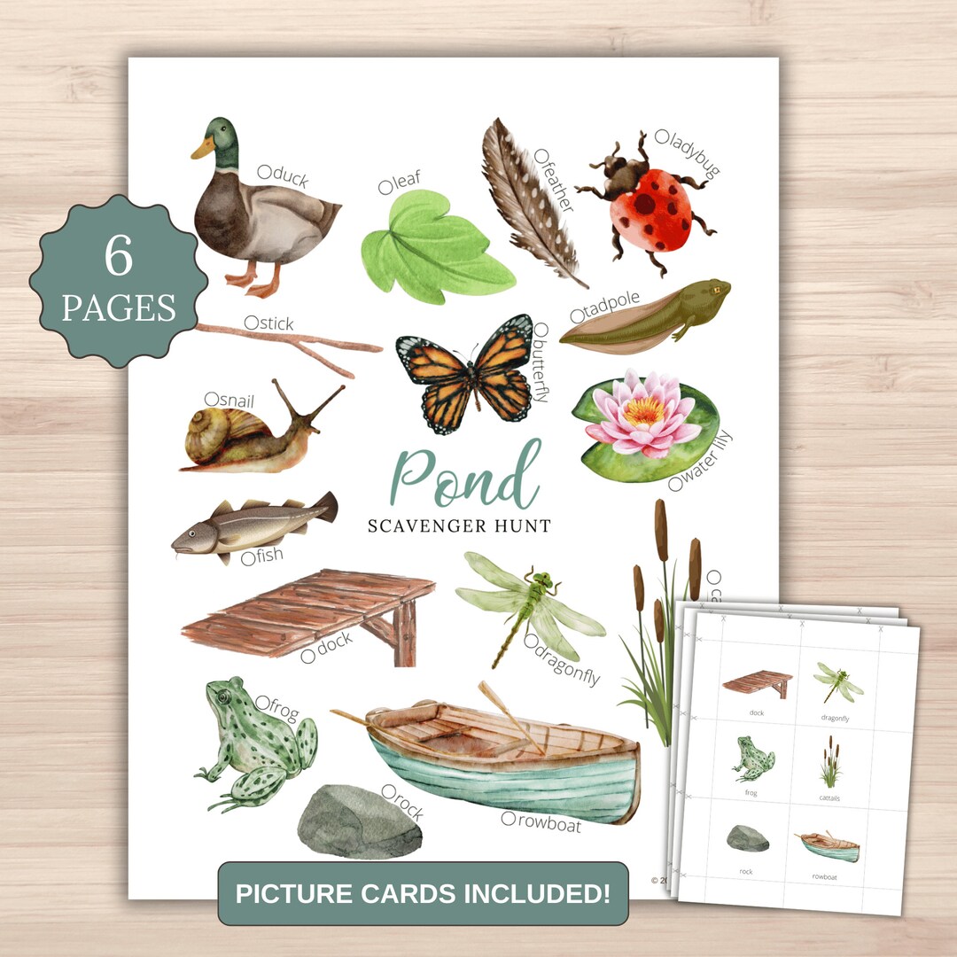 Pond Kids Scavenger Hunt, Printable Preschool Worksheet, Outdoor Indoor ...