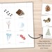 Printable Winter Scavenger Hunt, Winter Treasure Hunt, Forest School ...