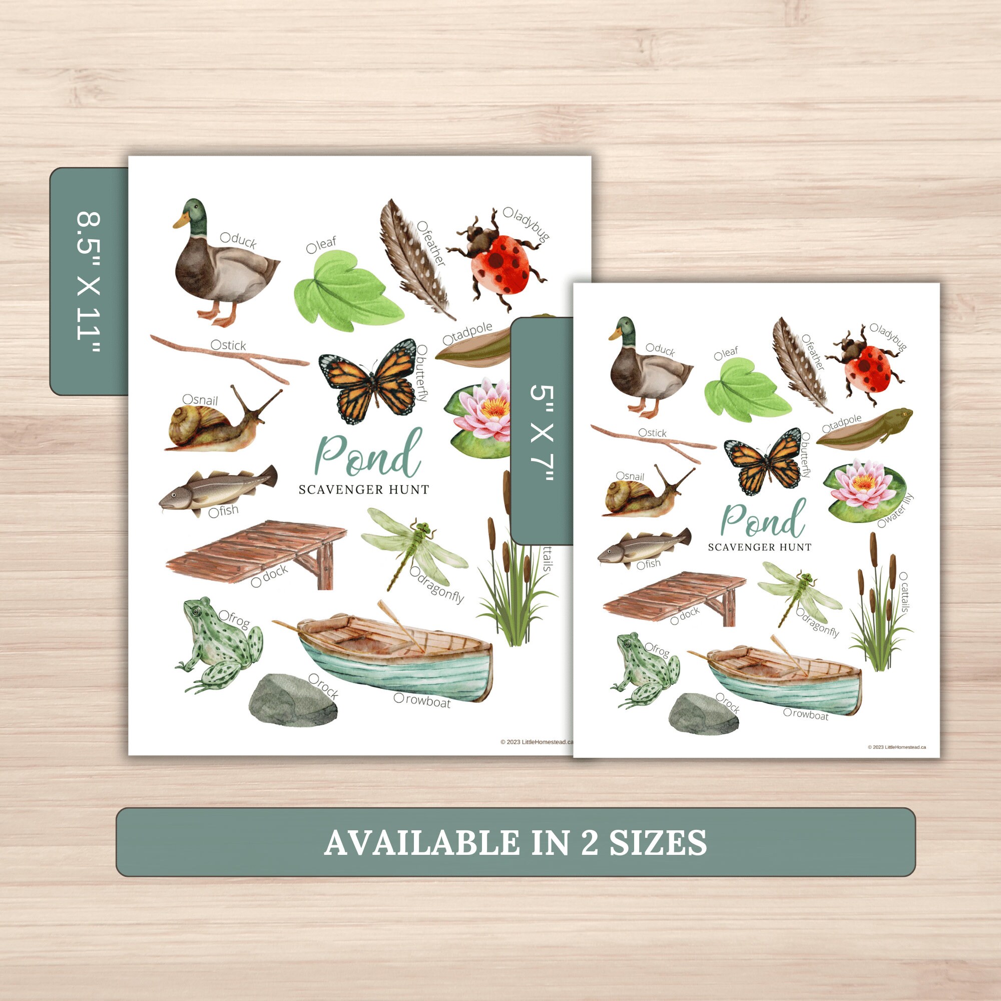 Pond Kids Scavenger Hunt, Printable Preschool Worksheet, Outdoor Indoor ...