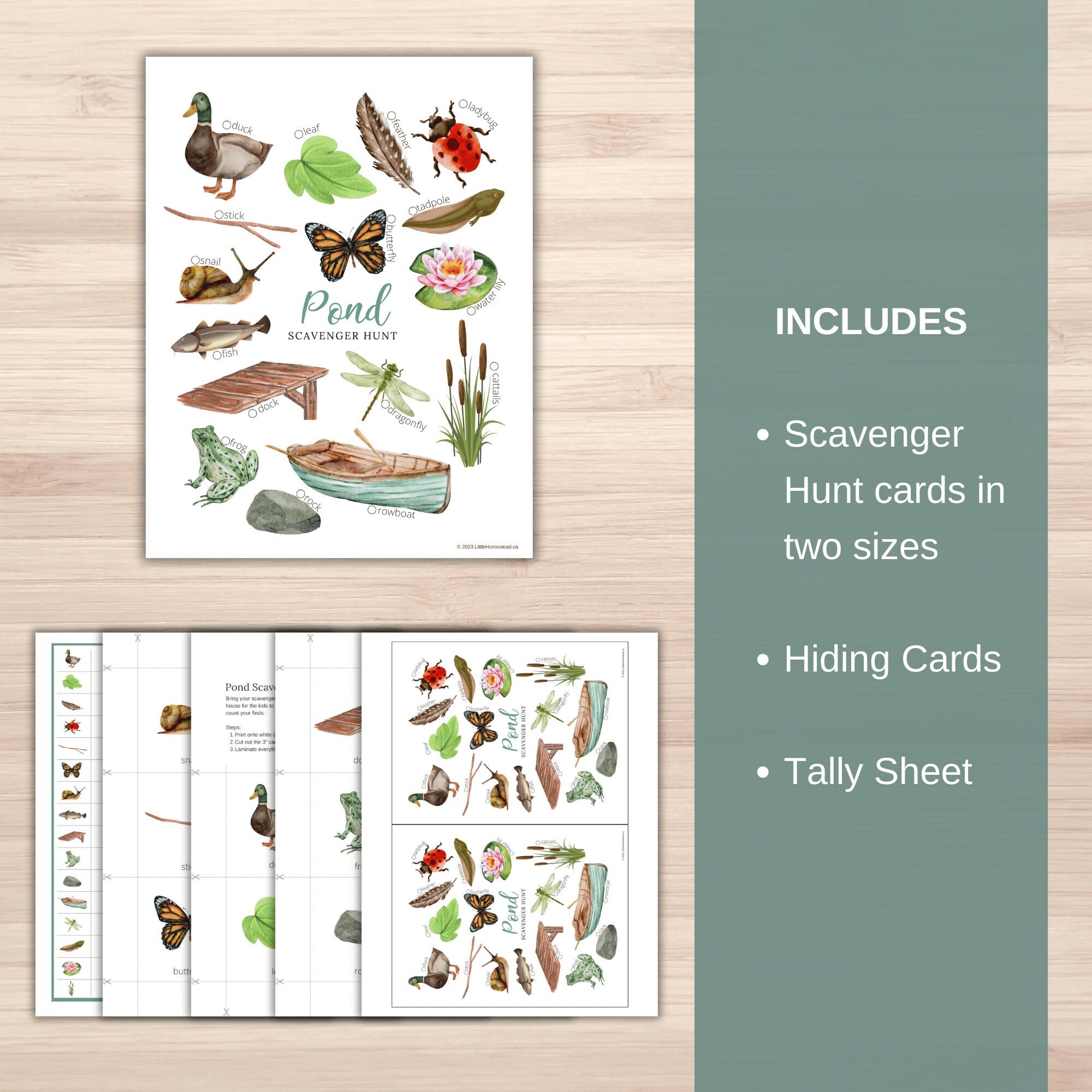 Pond Kids Scavenger Hunt, Printable Preschool Worksheet, Outdoor Indoor ...