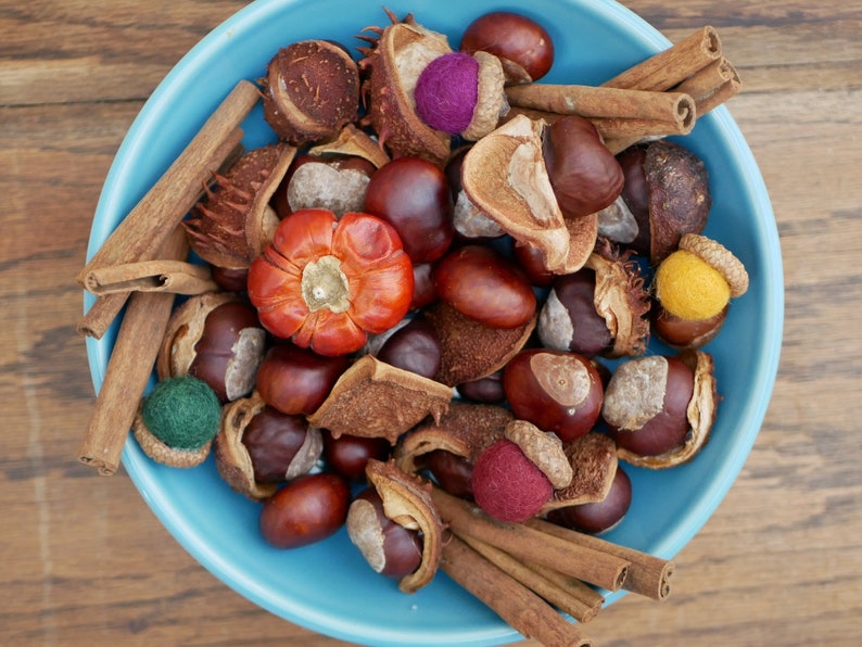 Dried Conkers Conkers in Shells ,dried Natural Conkers Nuts,fall ...