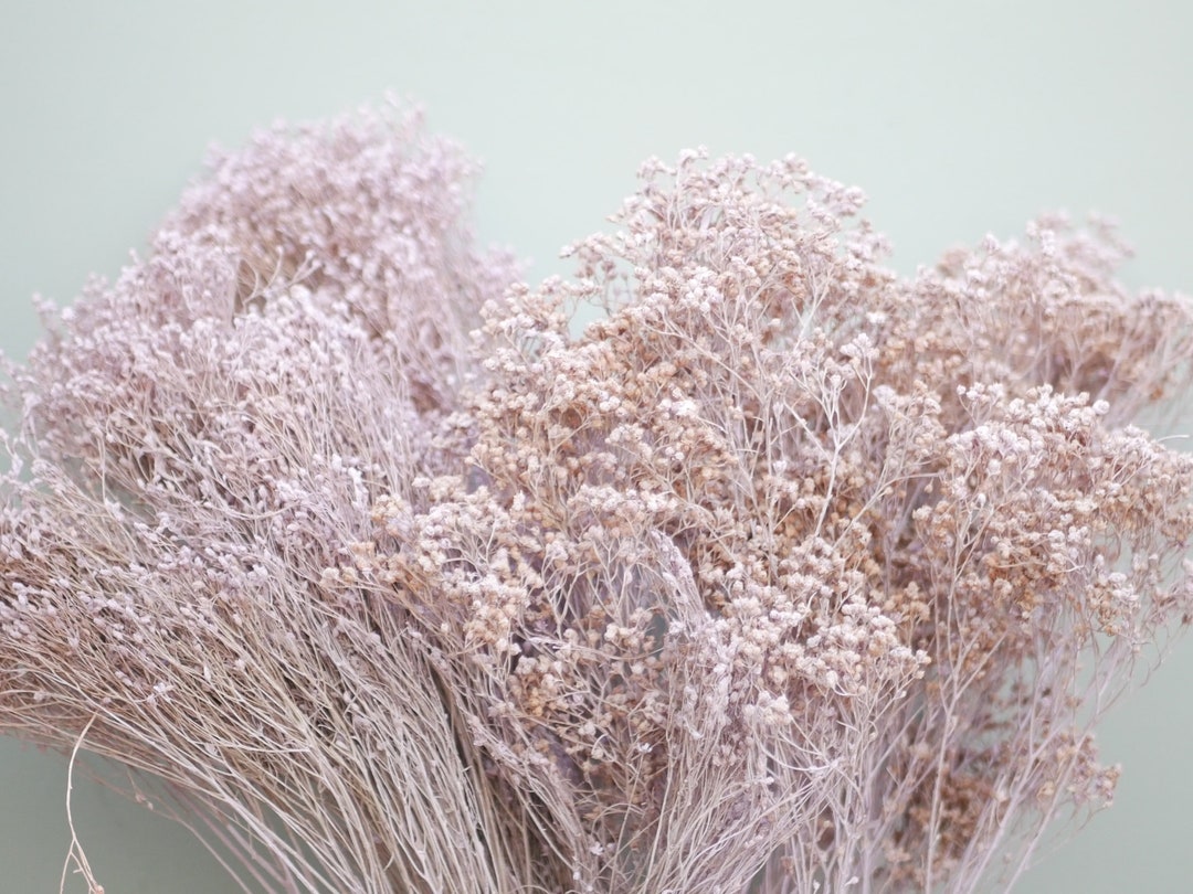 Dried Broom- Misty Lilac/ Dried Flowers | Rustic Home Wedding - Etsy