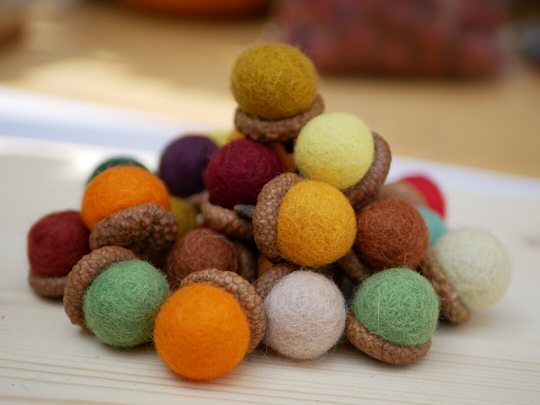 Your Choice Felt Acorns Mix,dried Oak Cups With Wool Balls Nuts,fall ...