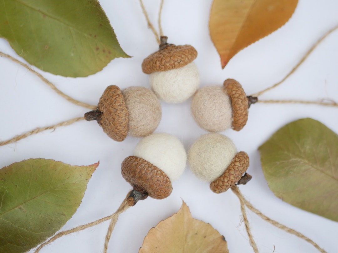 Felt Balls Natural Mix Natura,dried Oak Cups With Wool Balls Nuts,fall ...