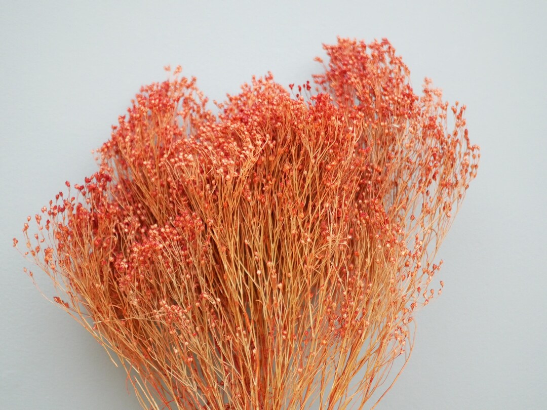 Dried Broom- Burnt Orange/ Dried Flowers | Rustic Home Wedding - Etsy