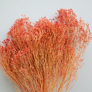 Dried Broom- Burnt Orange/ Dried Flowers | Rustic Home Wedding - Etsy